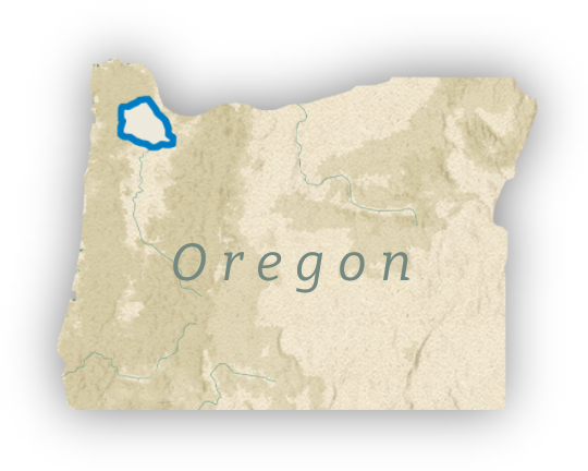 Home - Clean Water Services