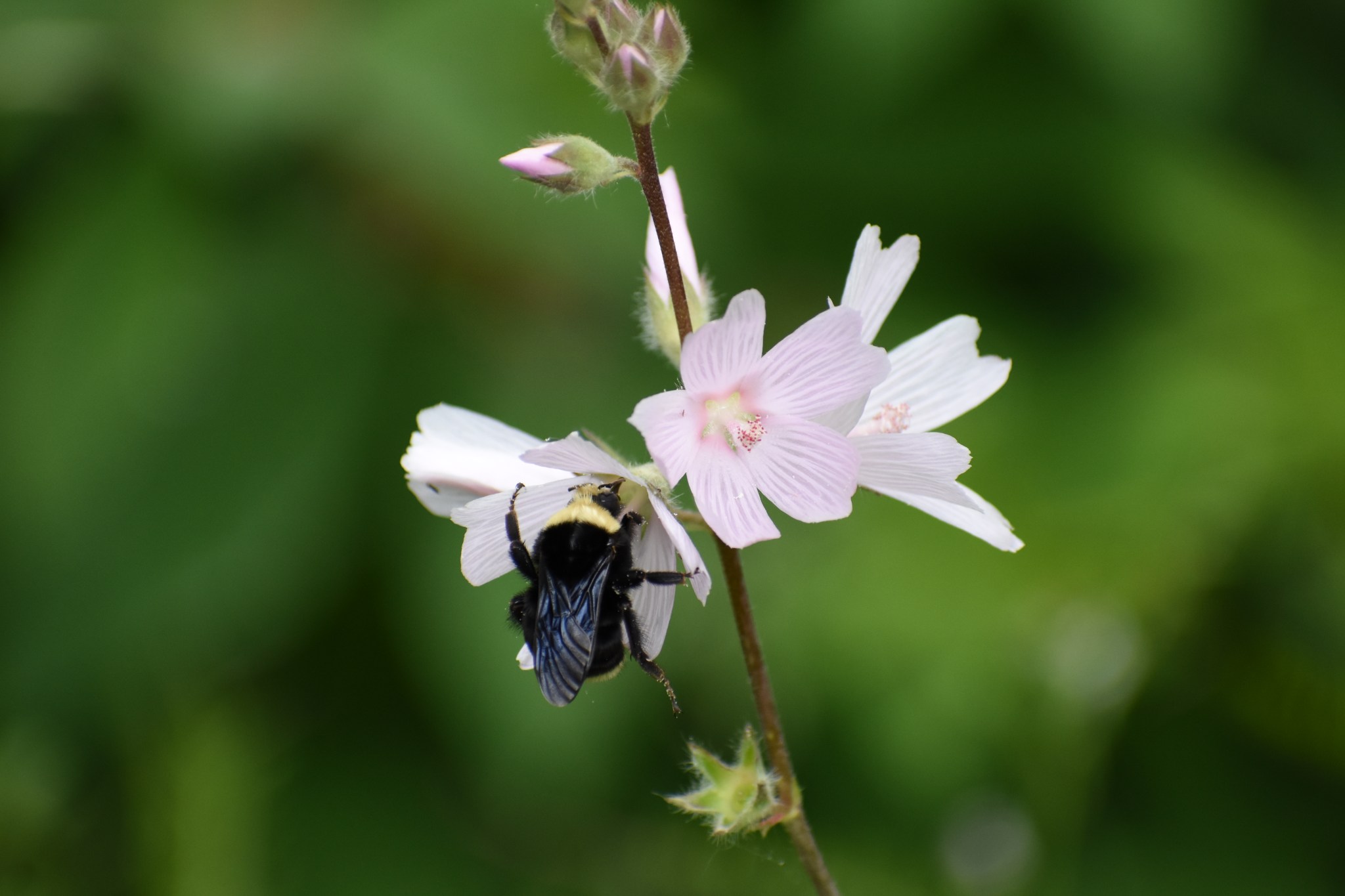 Home - Clean Water Services